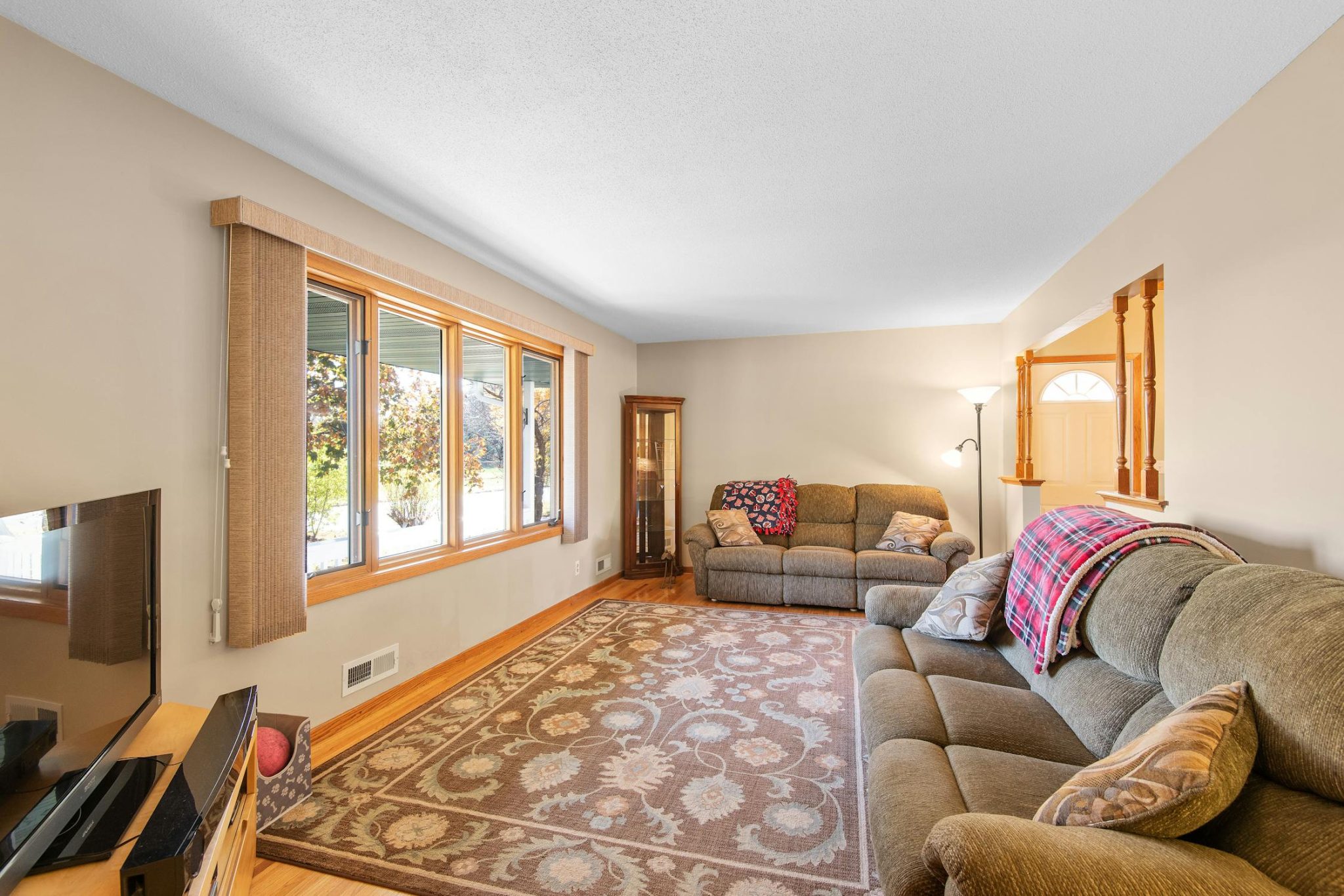 Elevate Living Room Comfort with Clean Rugs & Upholstery